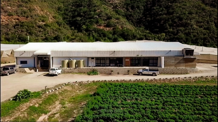 Mooihoek Strawberry Farm | Our Packhouse on the farm. Frozen and dried ...